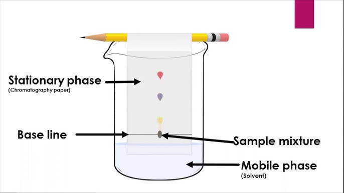 Chromatography - KS4 Chemistry